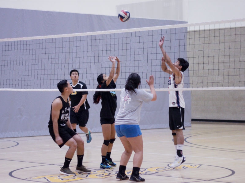 Photos - Intramurals